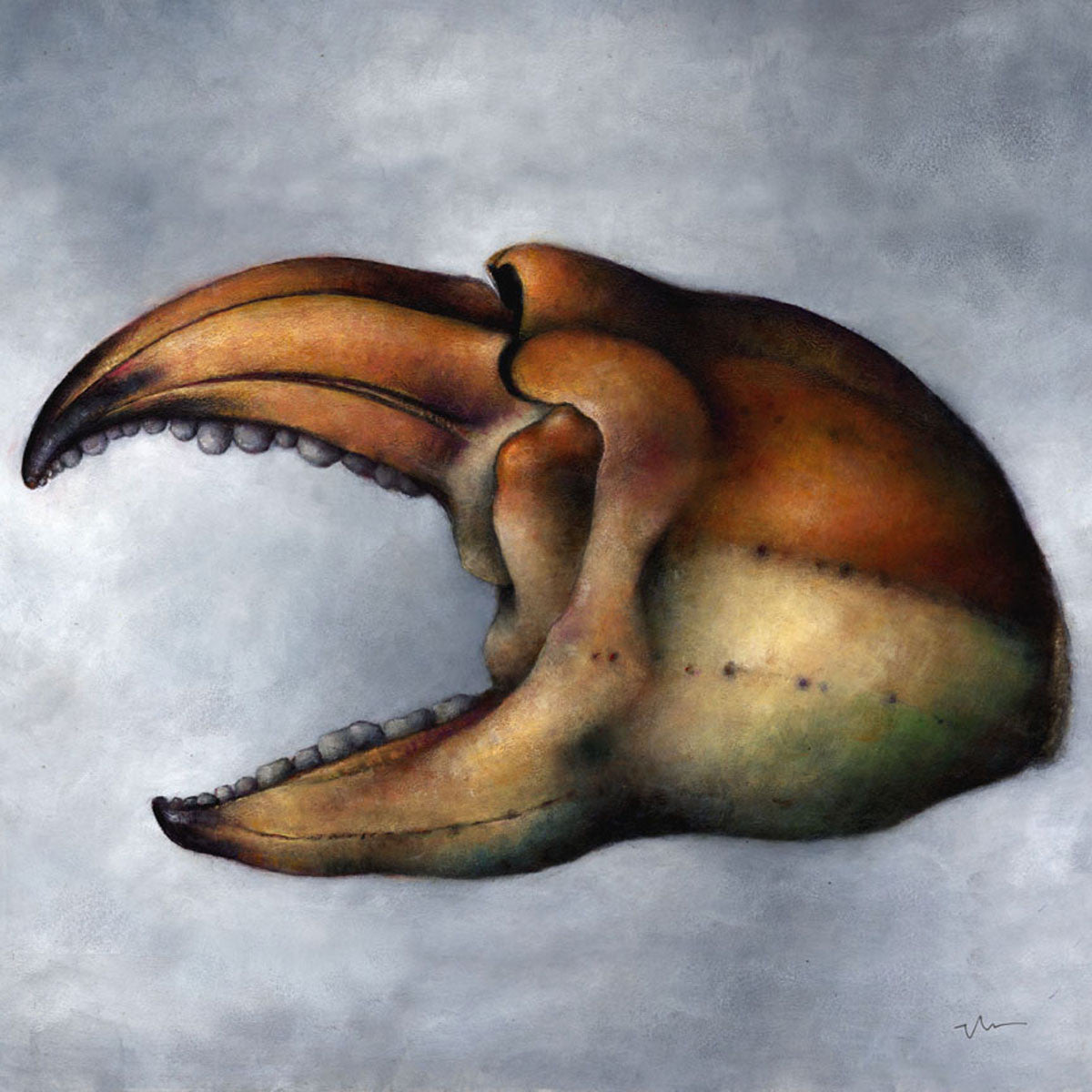 CRAB CLAW – JOHN THOMAS ART