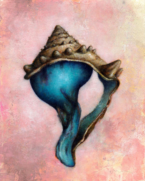 SHELL 1 – JOHN THOMAS ART